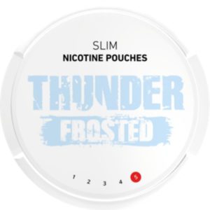 Thunder Nicotine Pouches kaufen: Dein Snuffstore Überblick